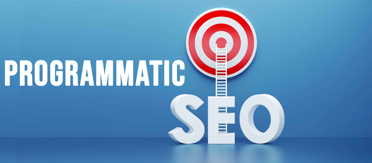 How Can Programmatic SEO Help Your Business - Blog | HaddockSoft