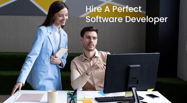 How To Hire A Perfect Software Developer - Blog | HaddockSoft